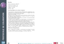 Kit Ral 555 3×100ml (Kit Spermoscan) - ECHO DISTRIMAL NAP